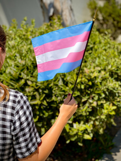 8''x12'' Trans Pride Stick Flag (Set of 5) – Pride Flag SD