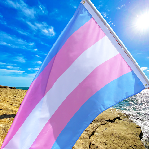 Digitally Printed Flags – Pride Flag SD