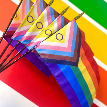 8''x12'' Intersex Inclusive Progress Pride Hand Flag (Set of 5) – Pride ...