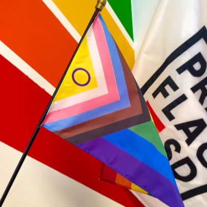 8''x12'' Intersex Inclusive Progress Pride Hand Flag (Set of 5) – Pride ...