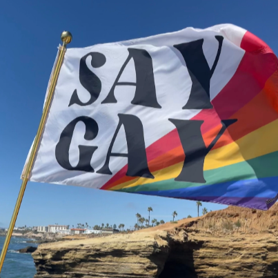 Say Gay Pride Flag - Digitally Printed 3'x5' – Pride Flag SD